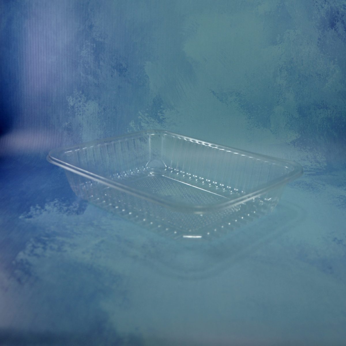 BANDEJA BANDEX PET 105 RECT. – Envases Carlos Paz