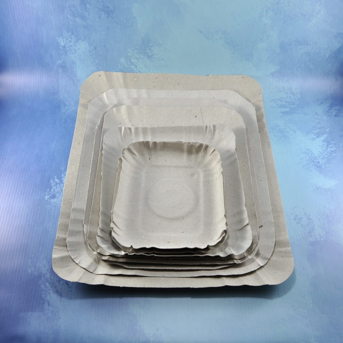 BANDEJAS DE CARTON RECTANGULARES – Envases Carlos Paz