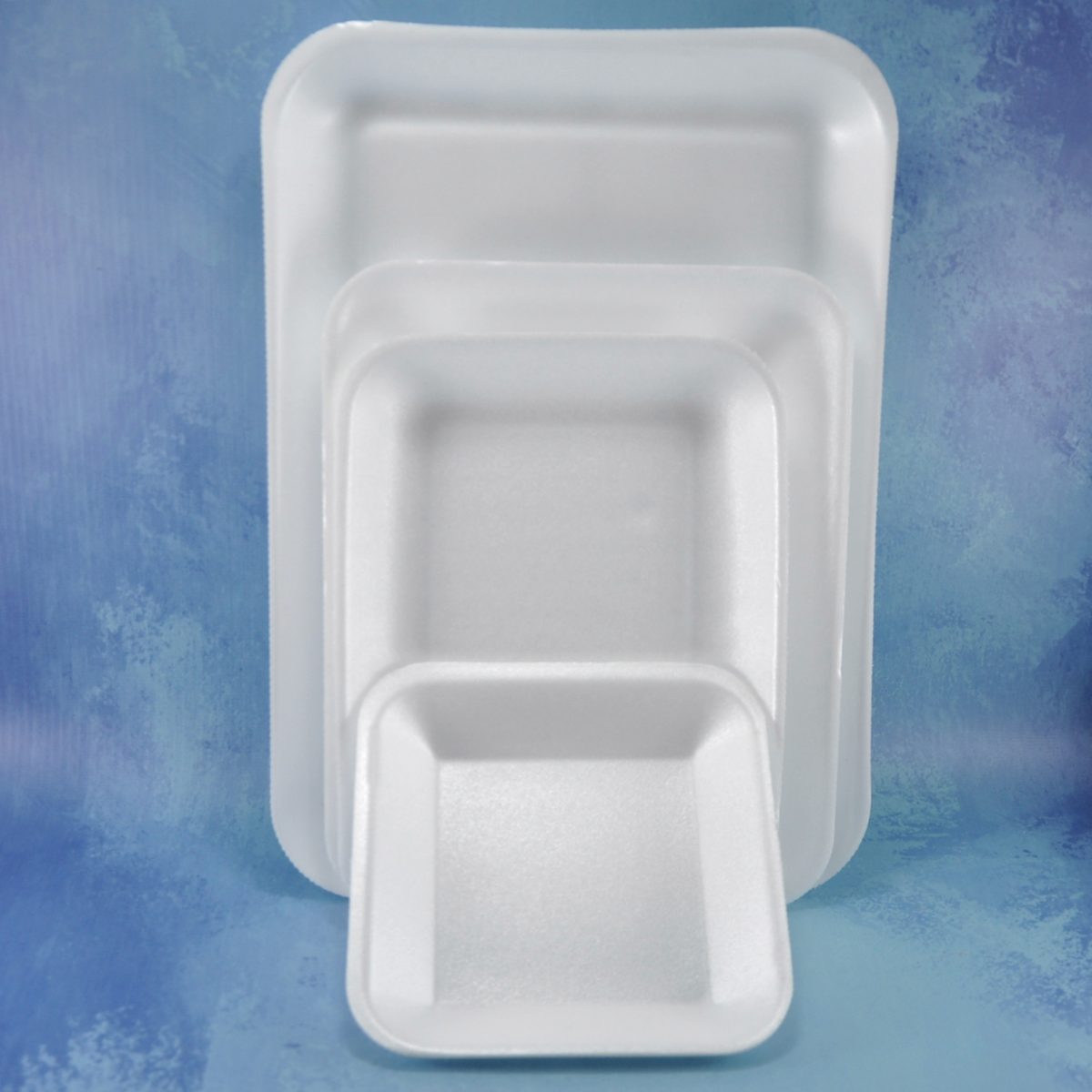 BANDEJA EXPANDIDO 19 – Envases Carlos Paz