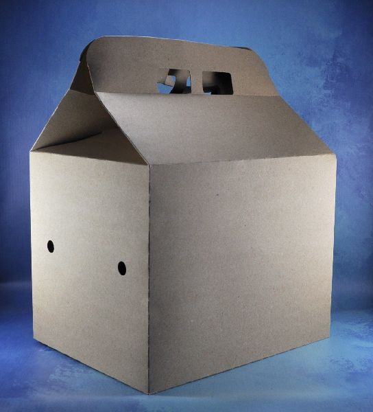 CAJA DELIVERY FAMILY BOX – Envases Carlos Paz